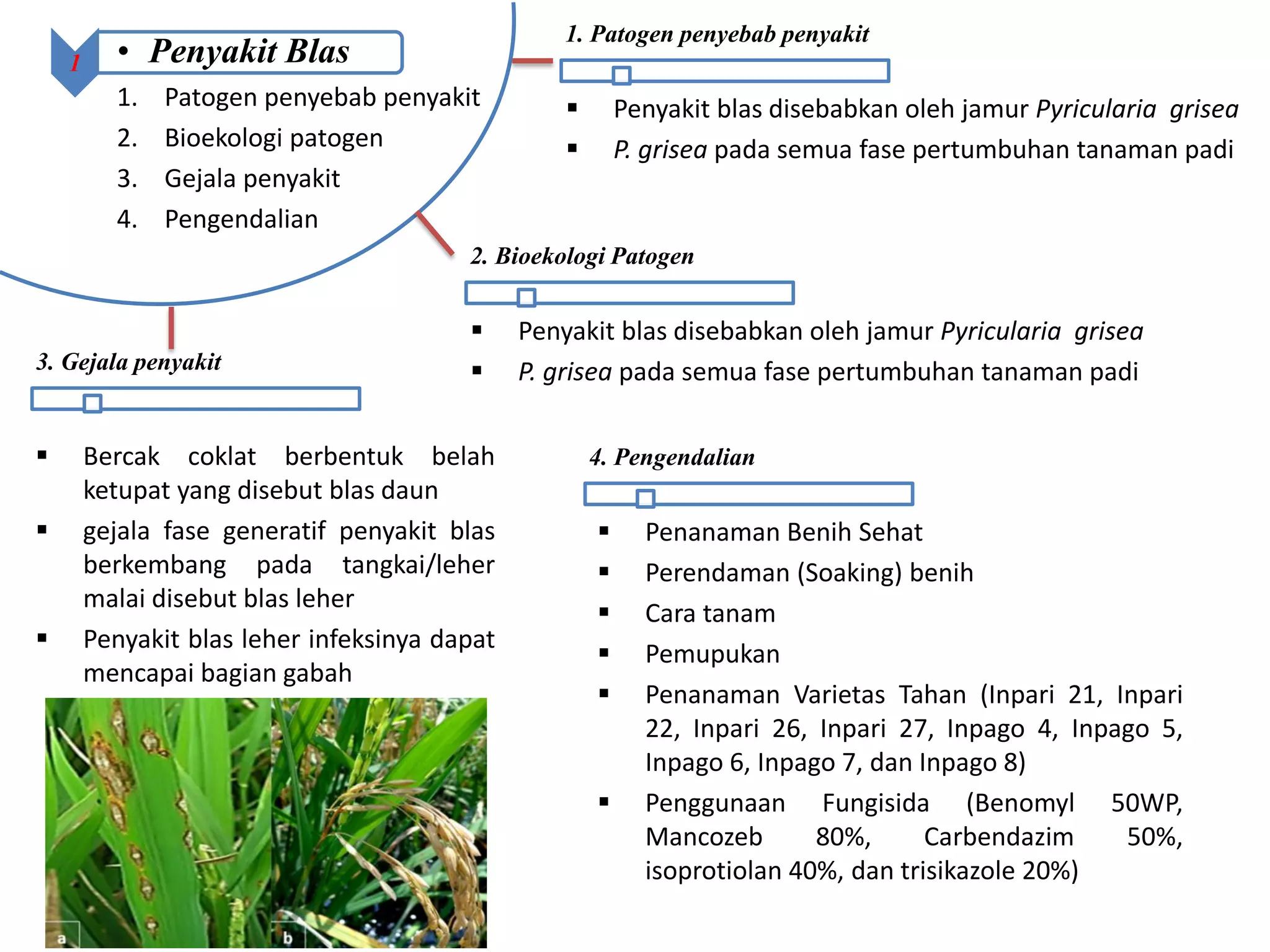 3. MATERI PENYULUHAN PHT PADI.pdf