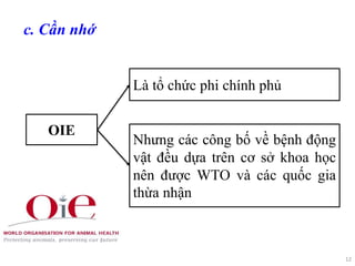 HIỆP ĐỊNH TBT VÀ SPS | PPT