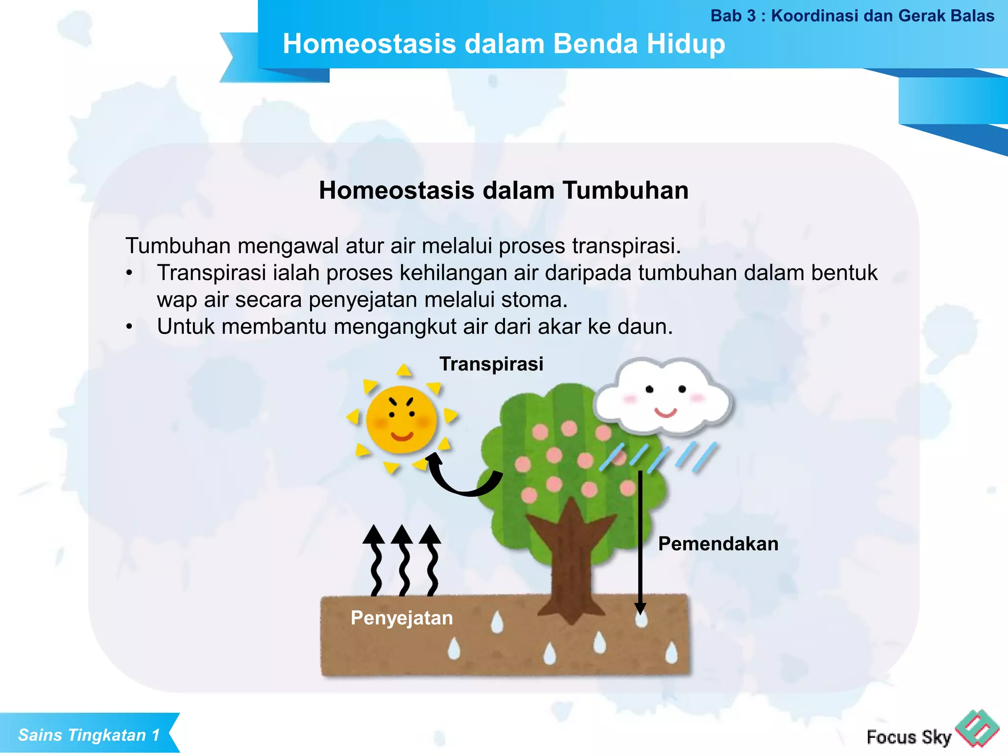 3.1 HOMEOSTASIS DALAM BENDA HIDUP.pdf