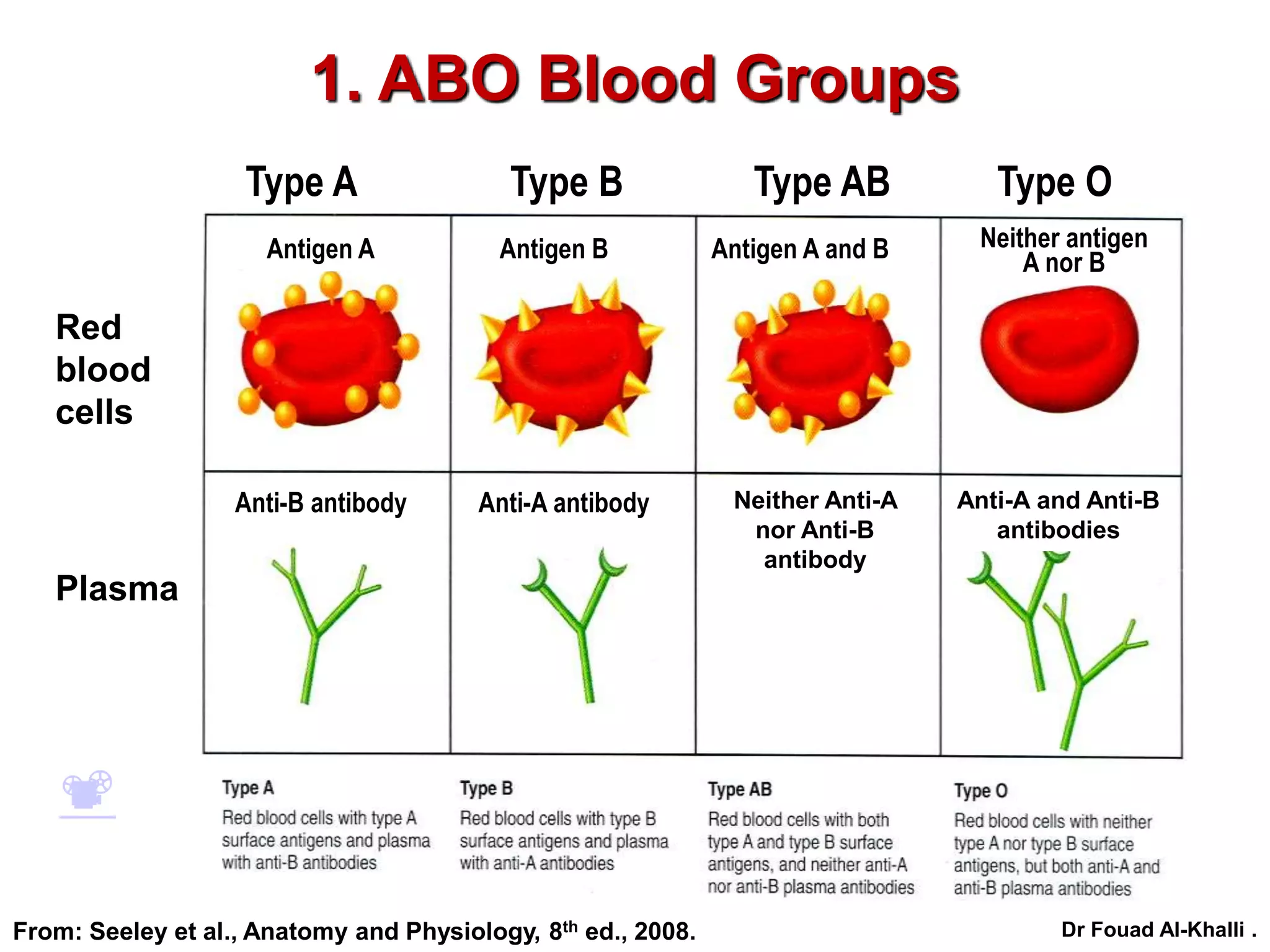 3. Blood Groups.pptx