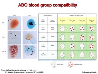 3. Blood Groups.pptx