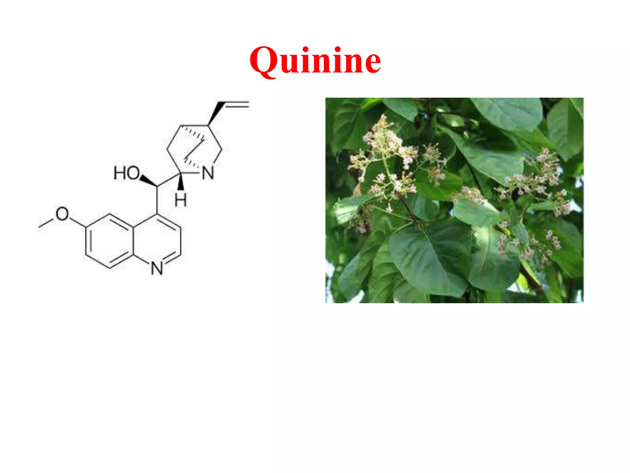3.3 C-Alkaloids-Atropine-Quinine-Reserpine-Caffeine.pptx