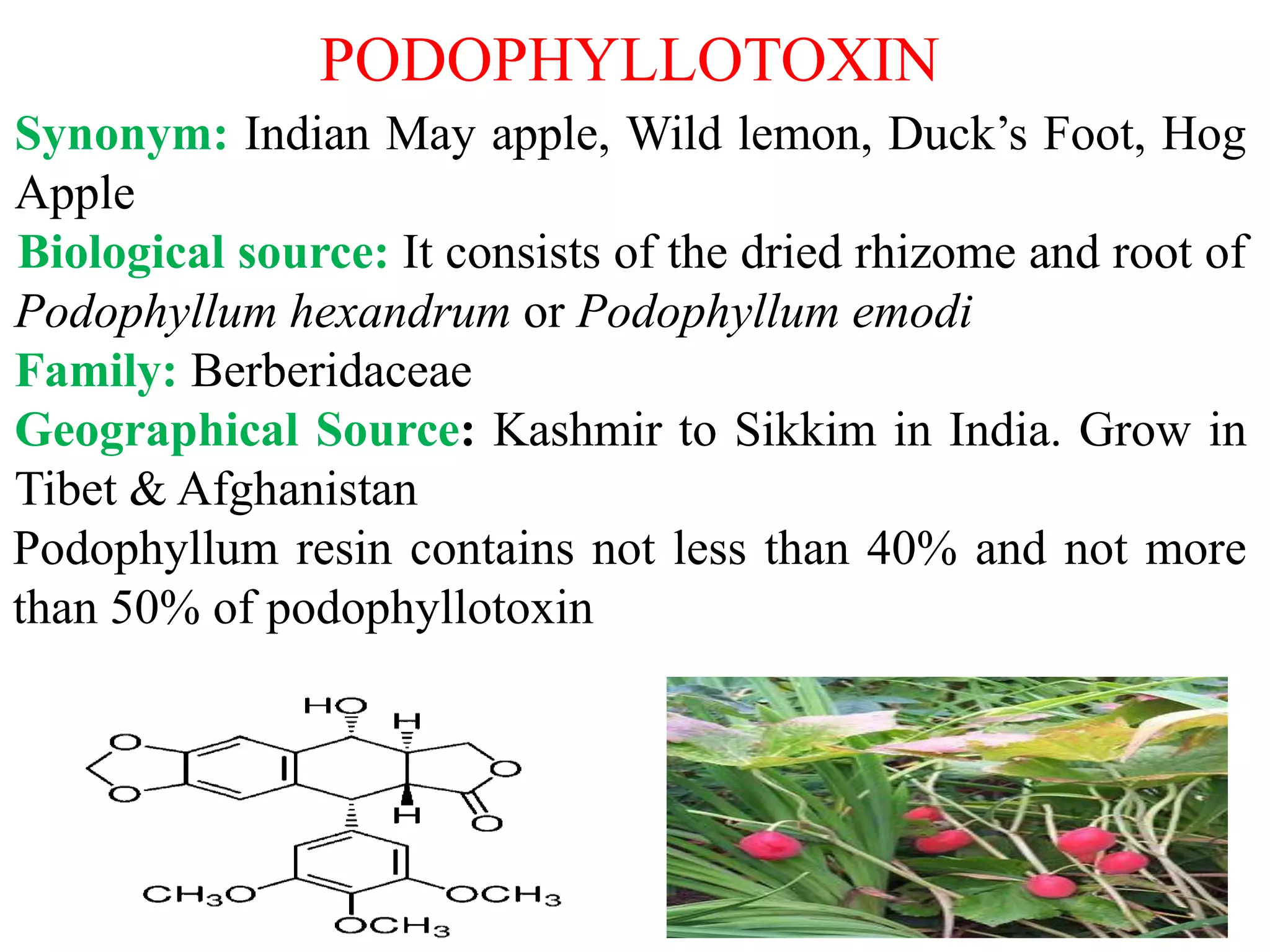 3.4 D-Resins-Podophyllotoxin-Curcumin.pptx