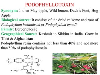 3.4 D-Resins-Podophyllotoxin-Curcumin.pptx