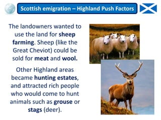 Higher Migration and Empire - Push factors (Highlands) | PPTX
