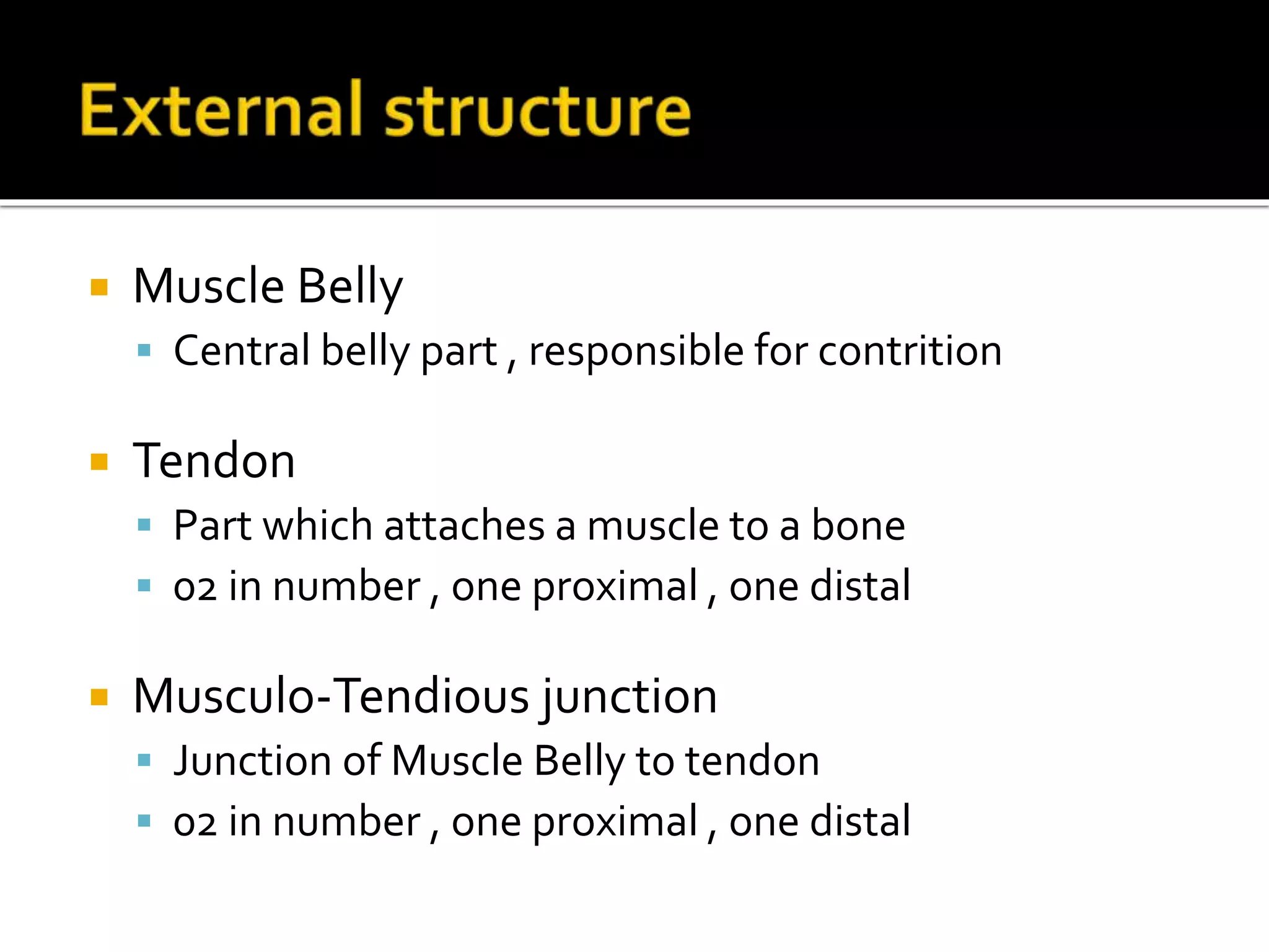3. General Myology.pptx