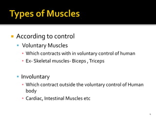 3. General Myology.pptx
