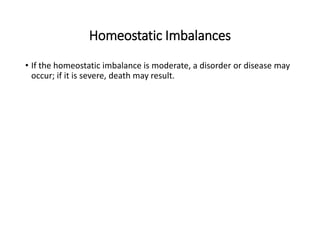 3. Homeostatis.ppt