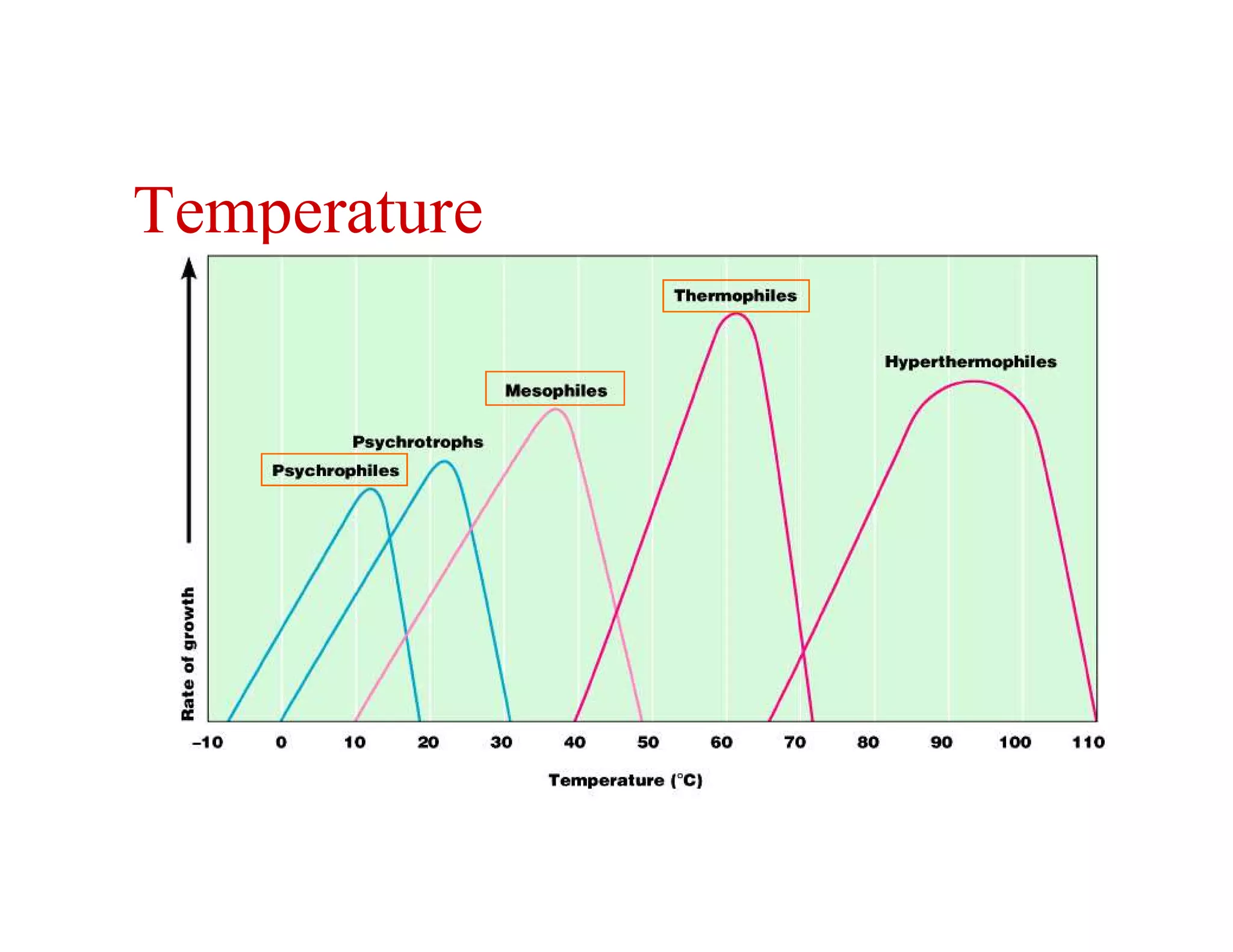 3. Physiology of Fungi.pdf
