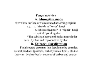 3. Physiology of Fungi.pdf