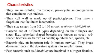3.4 Microorganisms 8.pptx