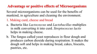 3.4 Microorganisms 8.pptx