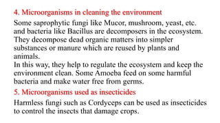 3.4 Microorganisms 8.pptx