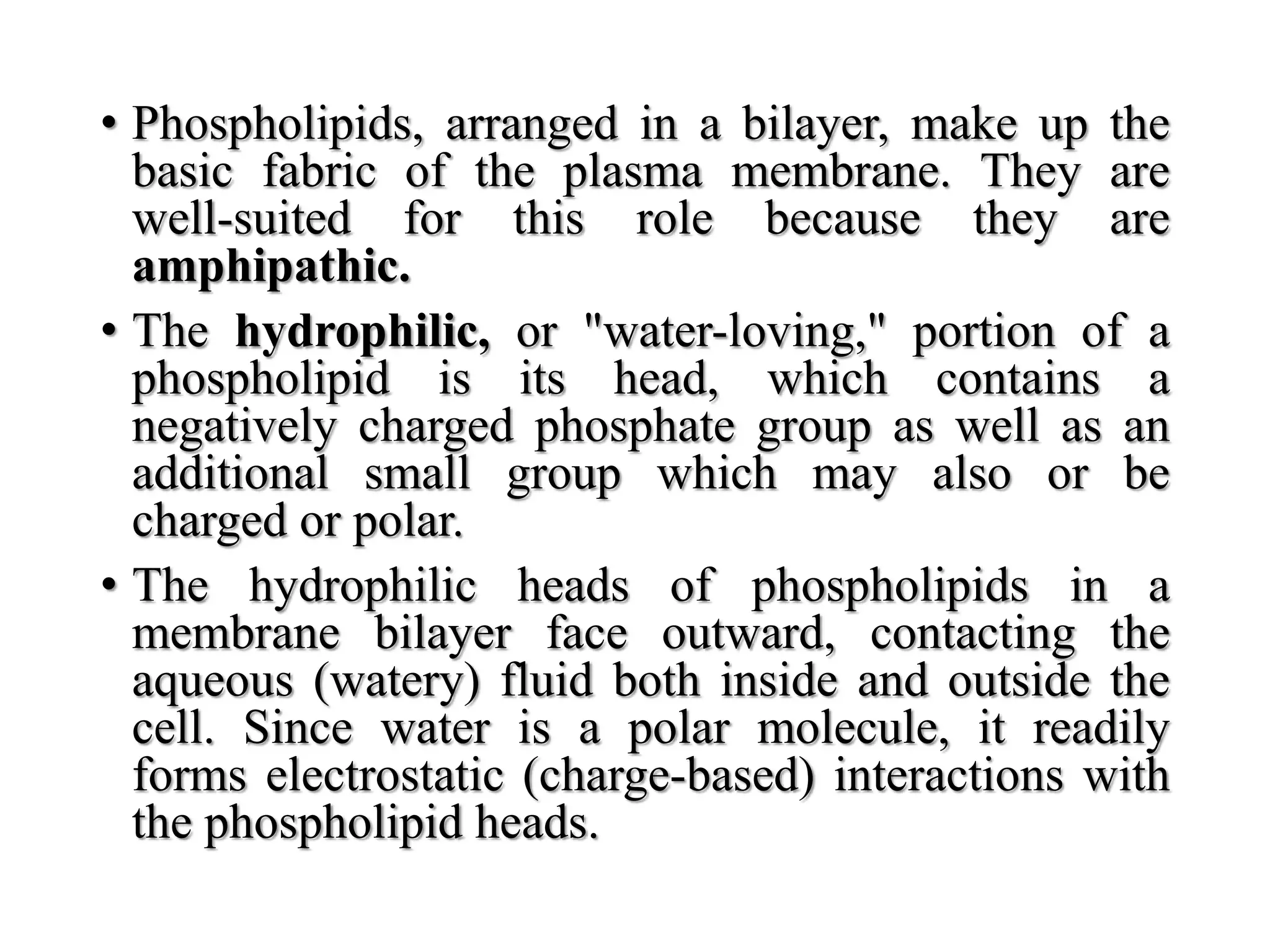 3. Structure and function of cell membrane (Biochemistry) | PPTX