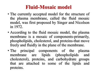 3. Structure and function of cell membrane (Biochemistry) | PPTX