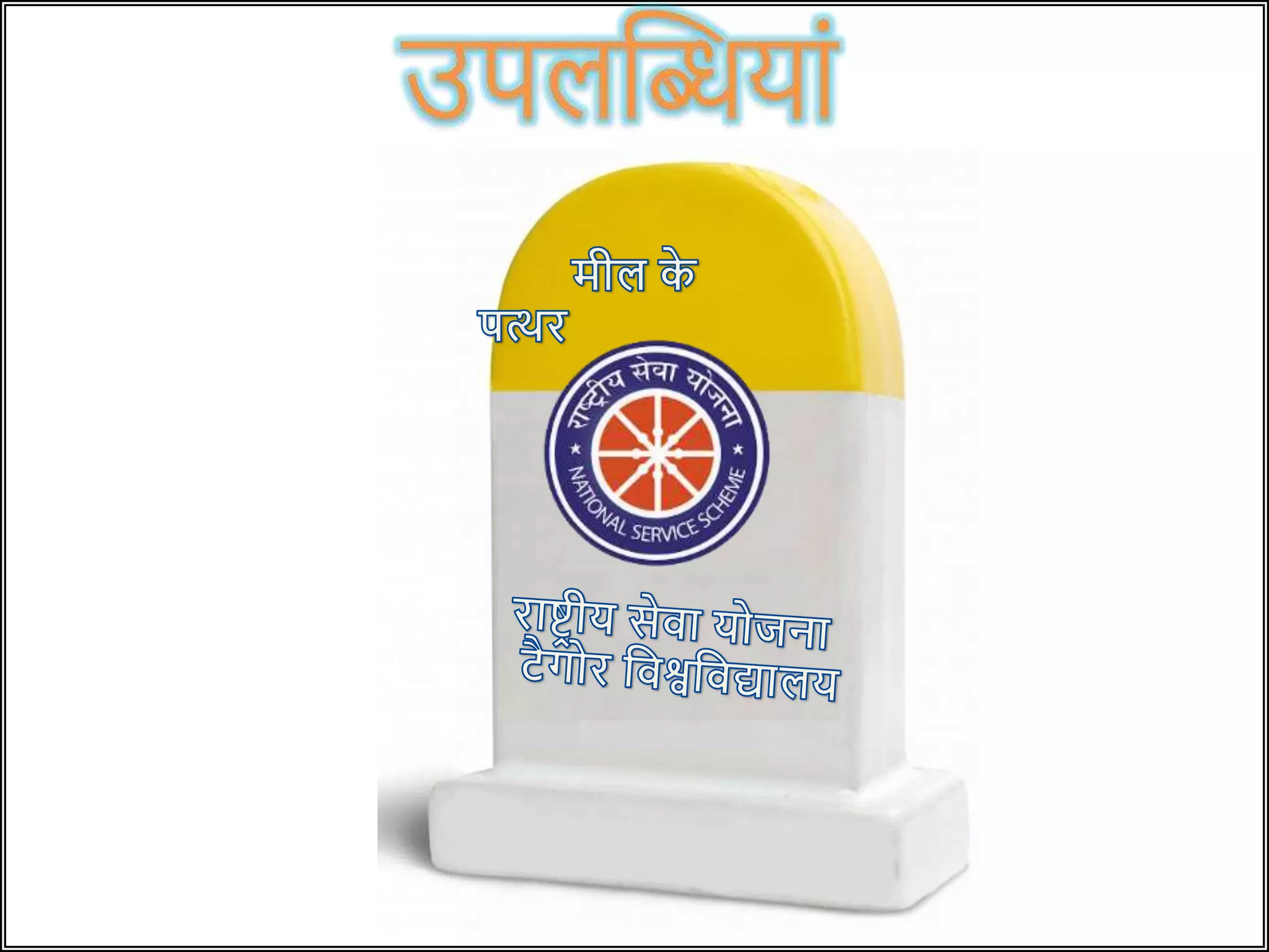 nss introduction | PPTX