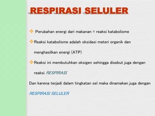 3. RESPIRASI SELULER.pptx