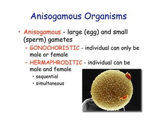 3. Evolution of Sex 2010.pdf