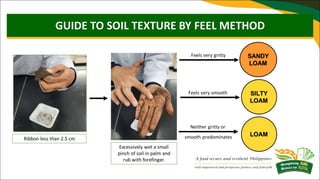 3. Soil Texture Determination through Feel Method.pdf