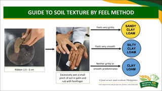 3. Soil Texture Determination through Feel Method.pdf