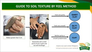 3. Soil Texture Determination through Feel Method.pdf