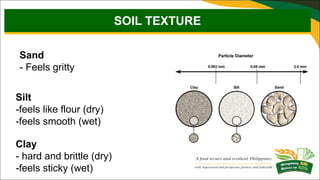 3. Soil Texture Determination through Feel Method.pdf