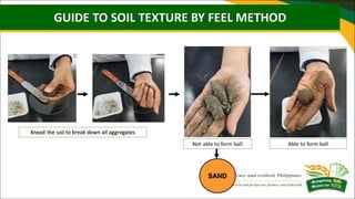 3. Soil Texture Determination through Feel Method.pdf