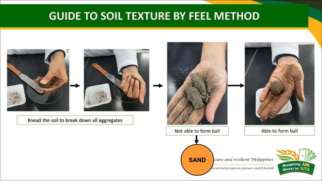 3. Soil Texture Determination through Feel Method.pdf