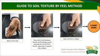 3. Soil Texture Determination through Feel Method.pdf