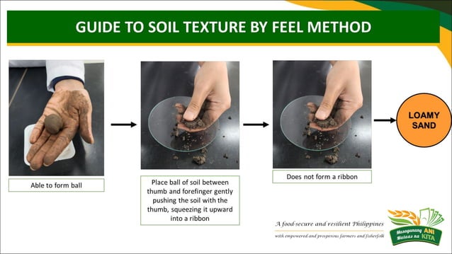3. Soil Texture Determination through Feel Method.pdf