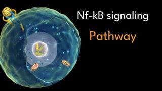 Nf-kB signalling pathway / role of Nf-kB in immunity |canonical and non ...