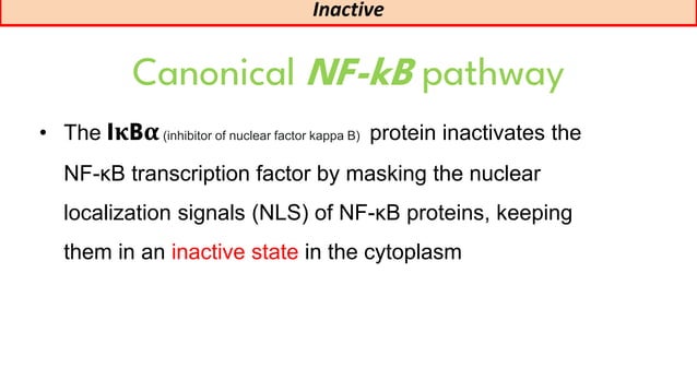 Nf-kB signalling pathway / role of Nf-kB in immunity |canonical and non ...