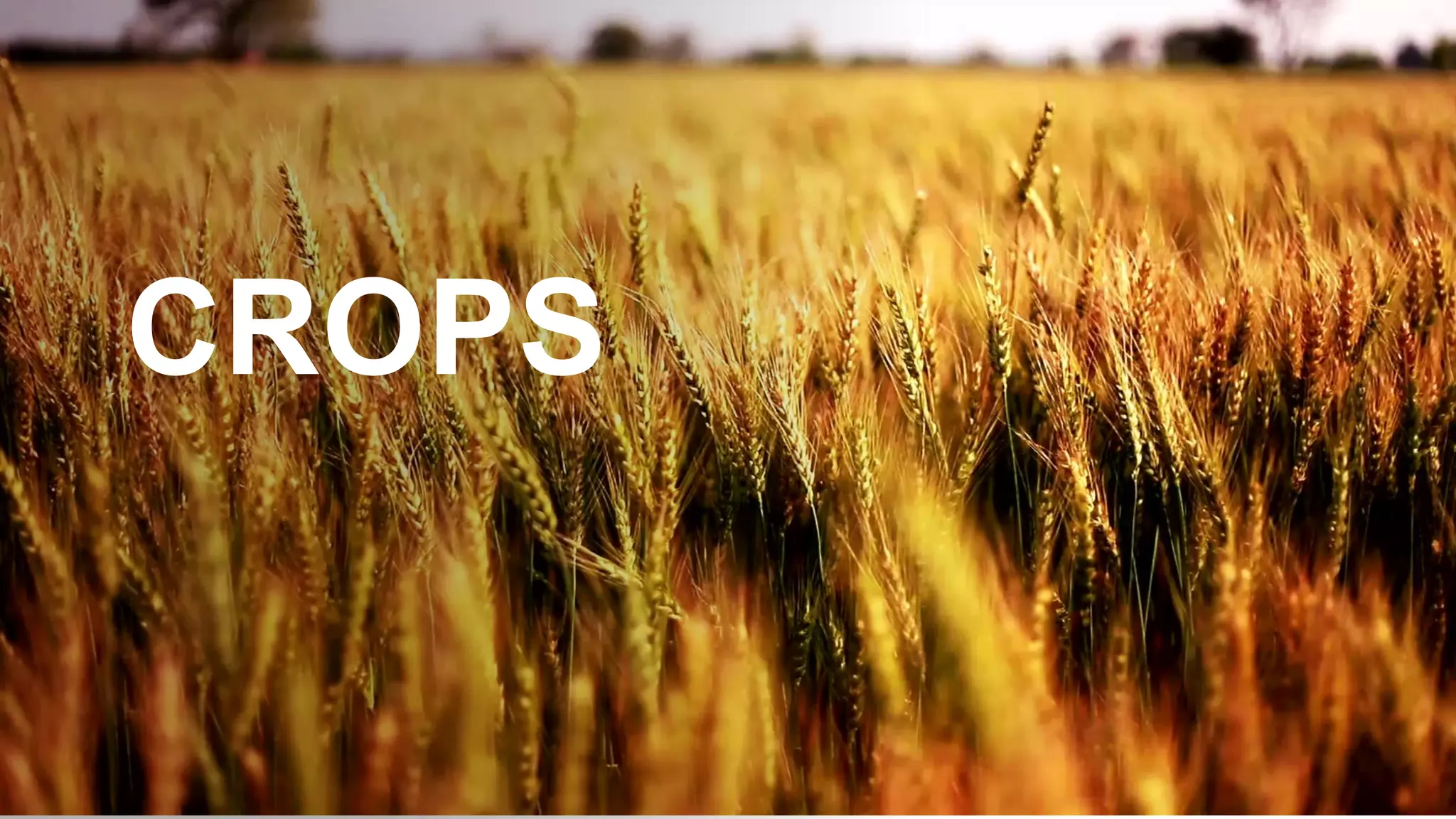 3 Environmental Science Lesson 3 Pptx