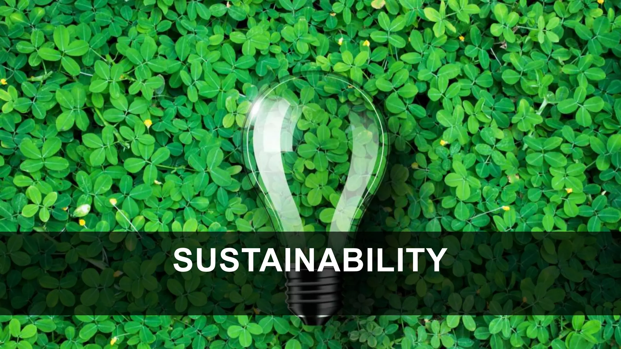 3. Environmental Science Lesson 3.pptx