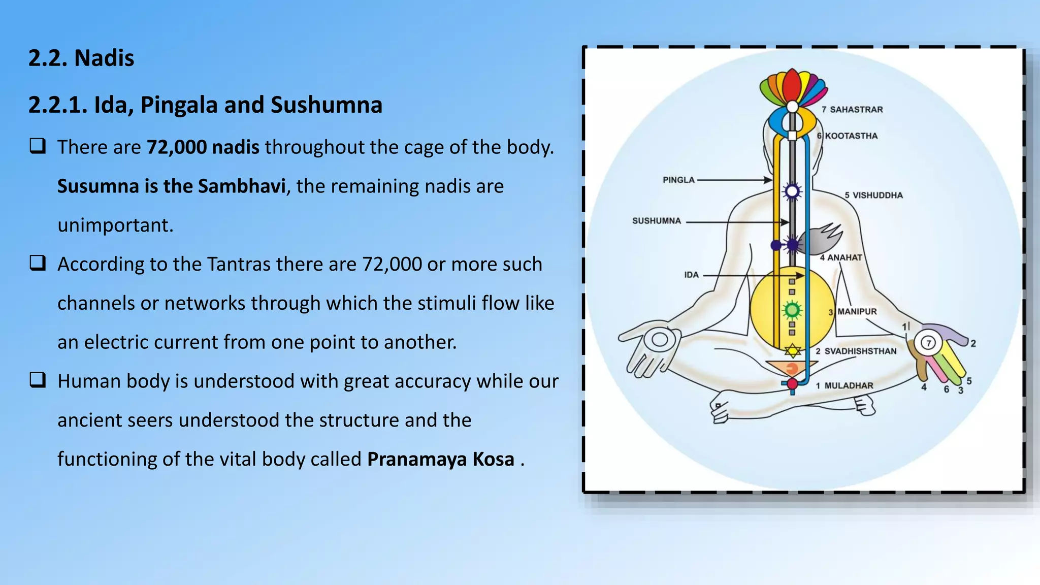 nadis - energy channels or meridians.pptx