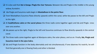 nadis - energy channels or meridians.pptx