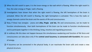 nadis - energy channels or meridians.pptx