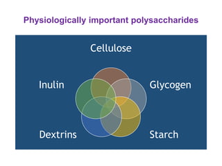Classification of Carbohydrate - Part-II.pptx