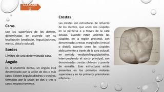 3.ANATOMIA DE LAS PIEZAS DENTARIAS PERMANENTES.pptx