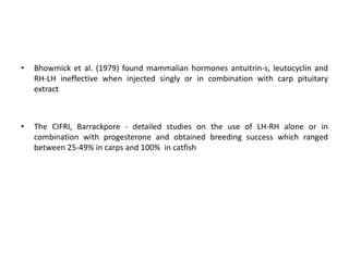 3.4. Synthetic hormones.ppt