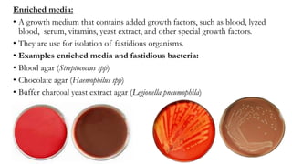 3. Microbial growth requirements and Bacterial metabolism.pptx