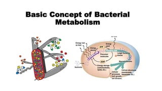 3. Microbial growth requirements and Bacterial metabolism.pptx