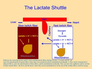 3. HIT and USRPT Training .pptx