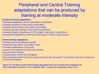 3. HIT and USRPT Training .pptx