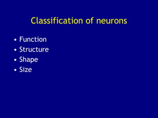 3. Organization of the Nervous system.ppt