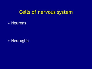 3. Organization of the Nervous system.ppt