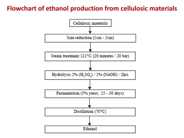 3. Experiment on Bioethanol Production.ppt | Chemistry | Science