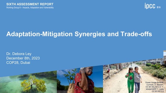 Adaptation-Mitigation Synergies and Trade-offs | PPTX | Environment ...