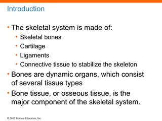 3. Skeletal Sys.pdf
