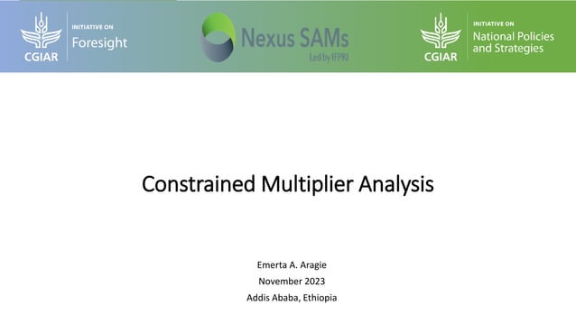 Constrained Multiplier Analysis.pdf